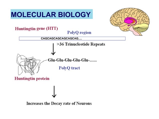 Diagnosis Of Genetic Disorders & Infectious Diseases | PPT