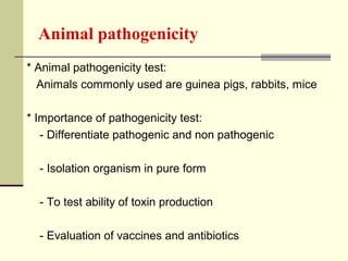 Diagnosis of important bacterial diseases | PPT