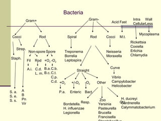 Diagnosis of important bacterial diseases | PPT