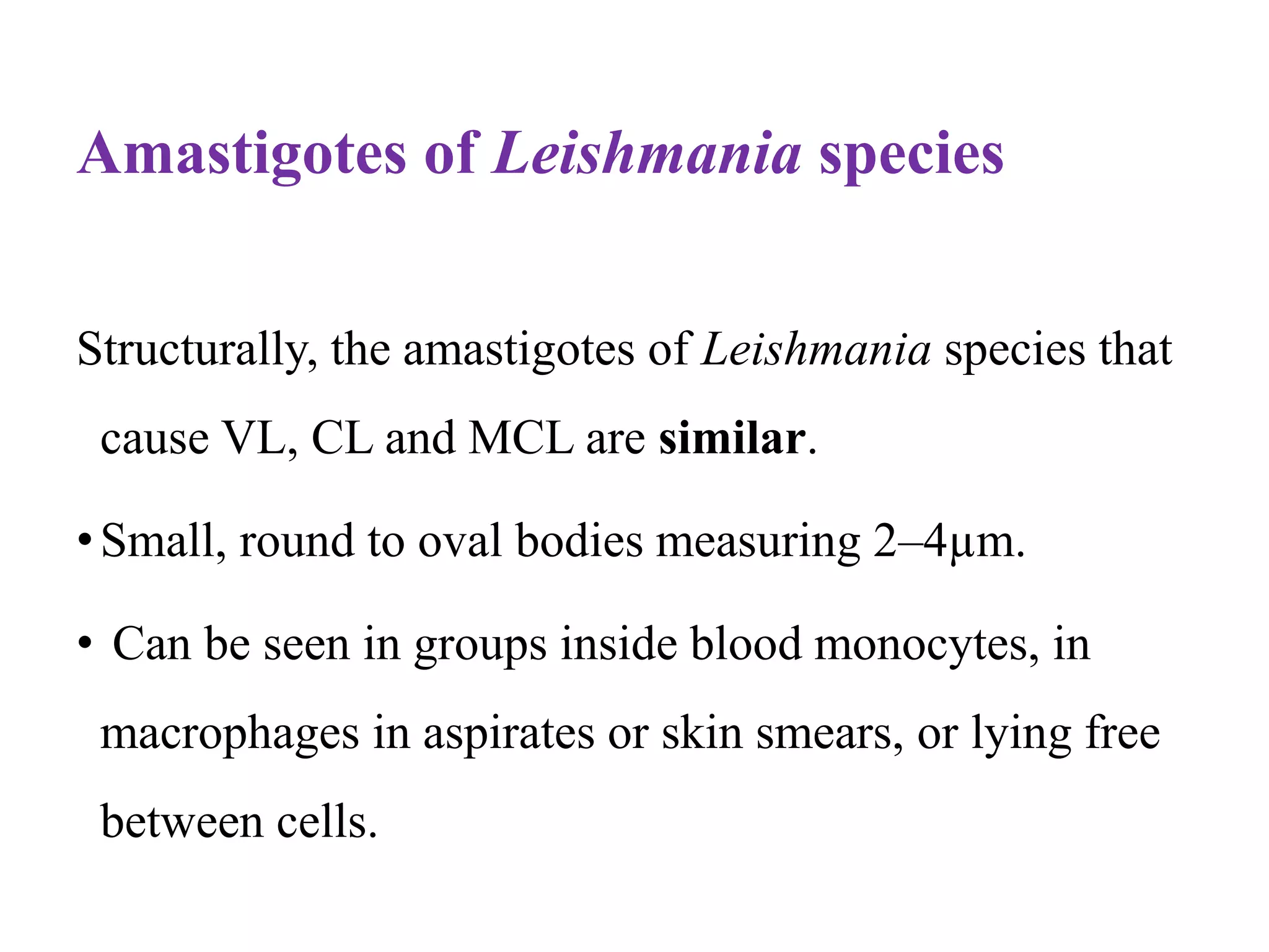 Diagnosis of leishmania parasite | PPSX