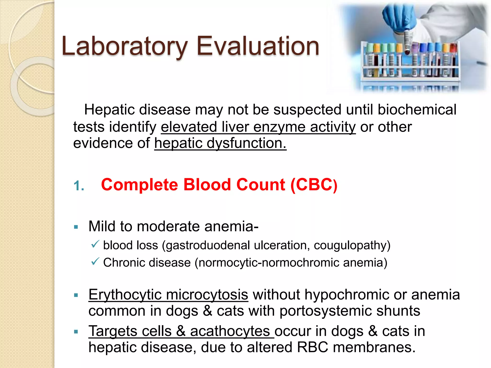 Diagnosis of Liver Disease in Dogs & Cats | PPTX