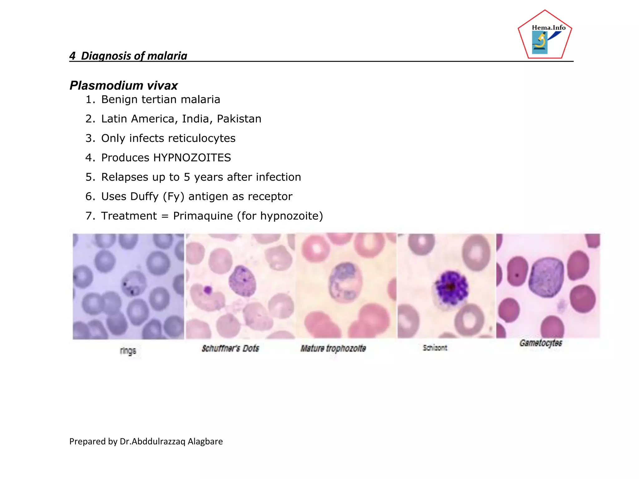 Diagnosis of malaria by the peripheral blood smear | PDF