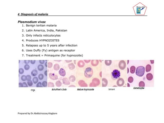 Diagnosis of malaria by the peripheral blood smear | PDF | Infectious ...
