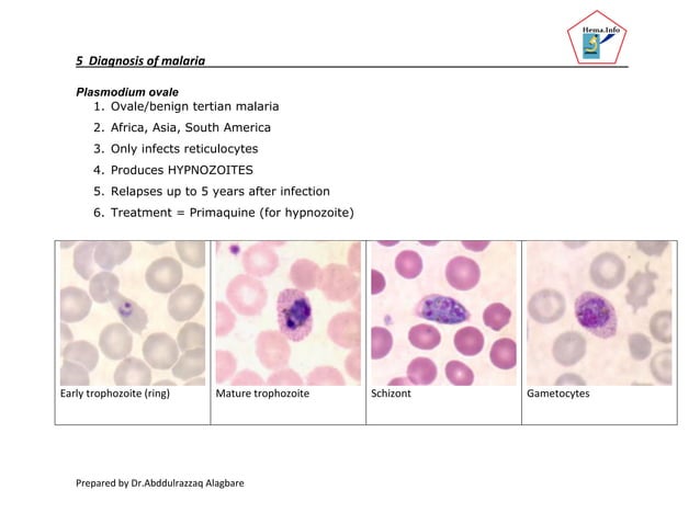 Diagnosis of malaria by the peripheral blood smear