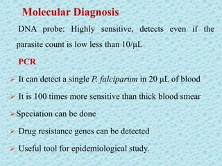Diagnosis of four malaria parasites | PPSX