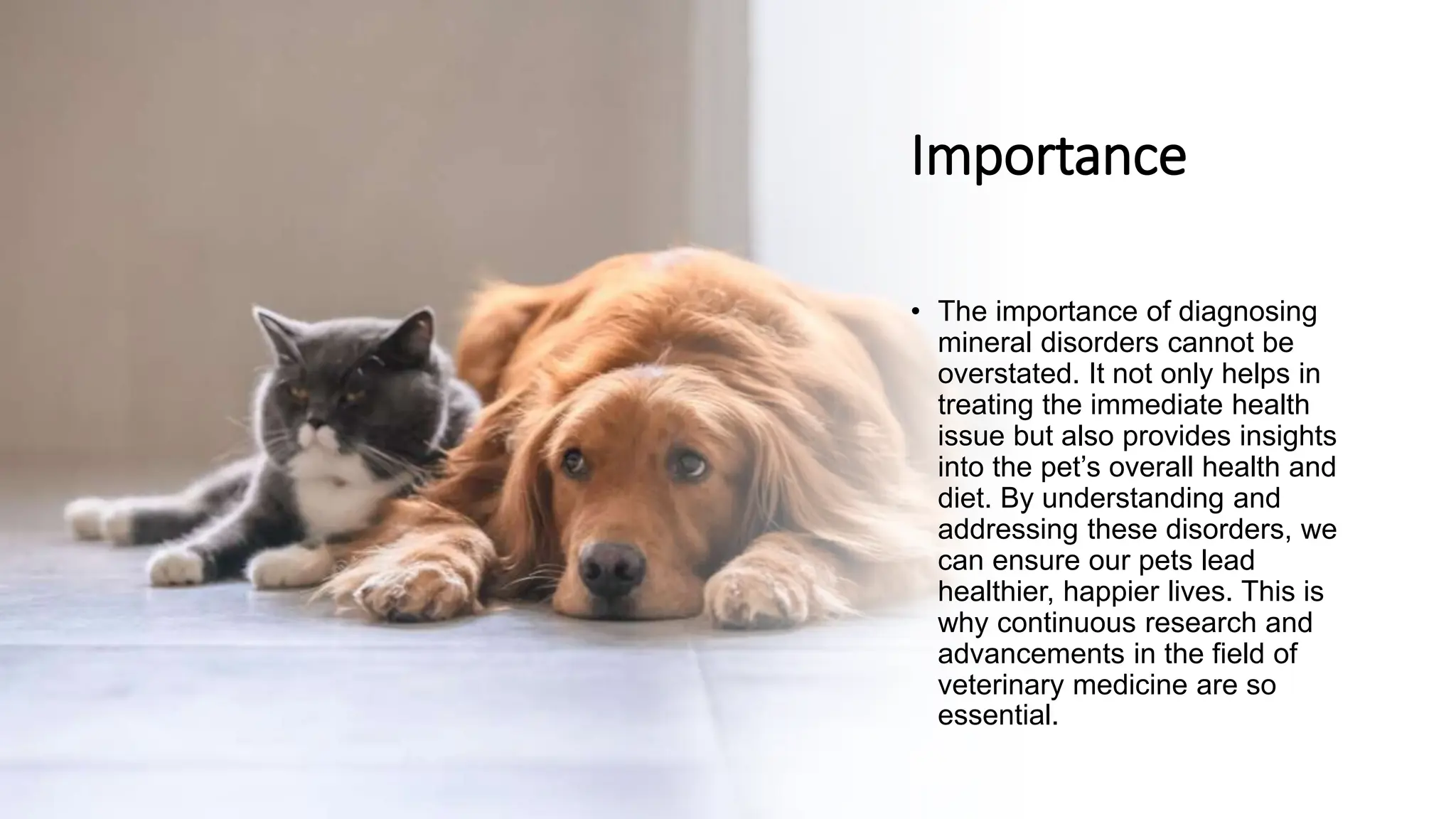 Diagnosis of mineral disorder in cats and dogs.1.pptx