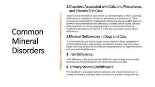 Diagnosis of mineral disorder in cats and dogs.1.pptx