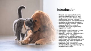 Diagnosis of mineral disorder in cats and dogs.1.pptx