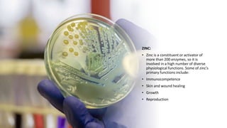 Diagnosis of mineral disorder in cats and dogs.1.pptx