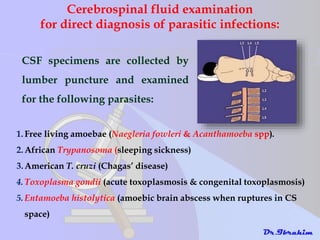 DIAGNOSIS OF PARASITIC DISEASES(post) P.P..ppt
