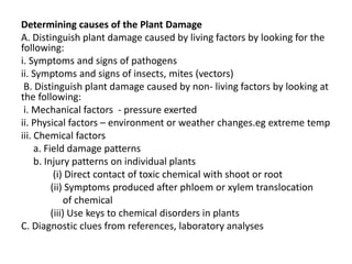 DIAGNOSIS OF PLANT DISEASE.pptx
