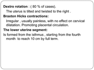 Diagnosis of pregnancy | PPTX
