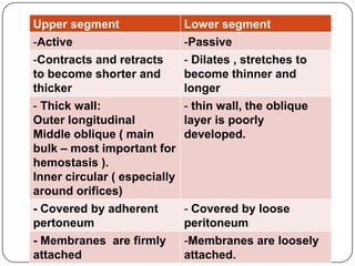 Diagnosis of pregnancy | PPTX