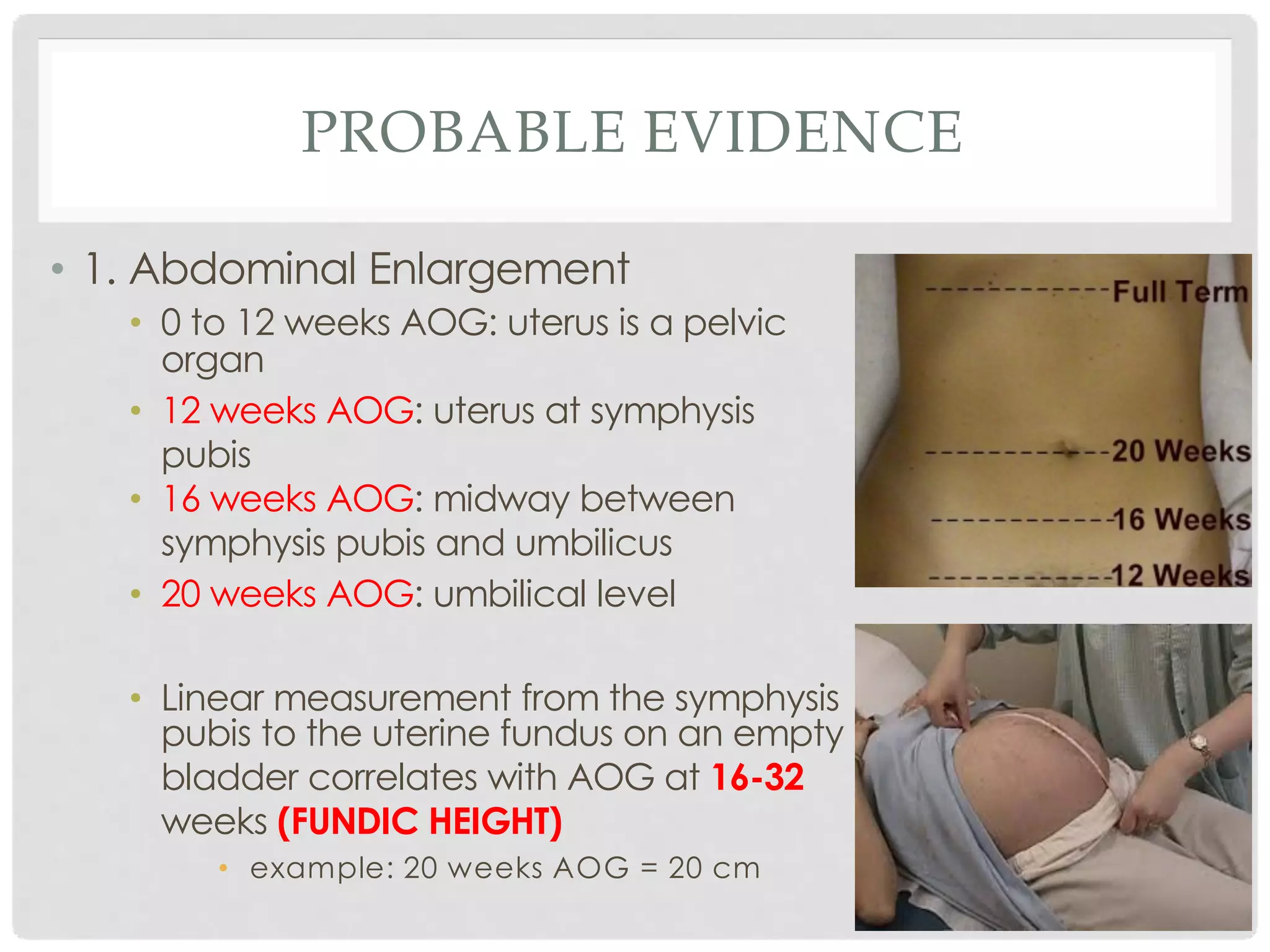 Diagnosis of pregnancy | PDF