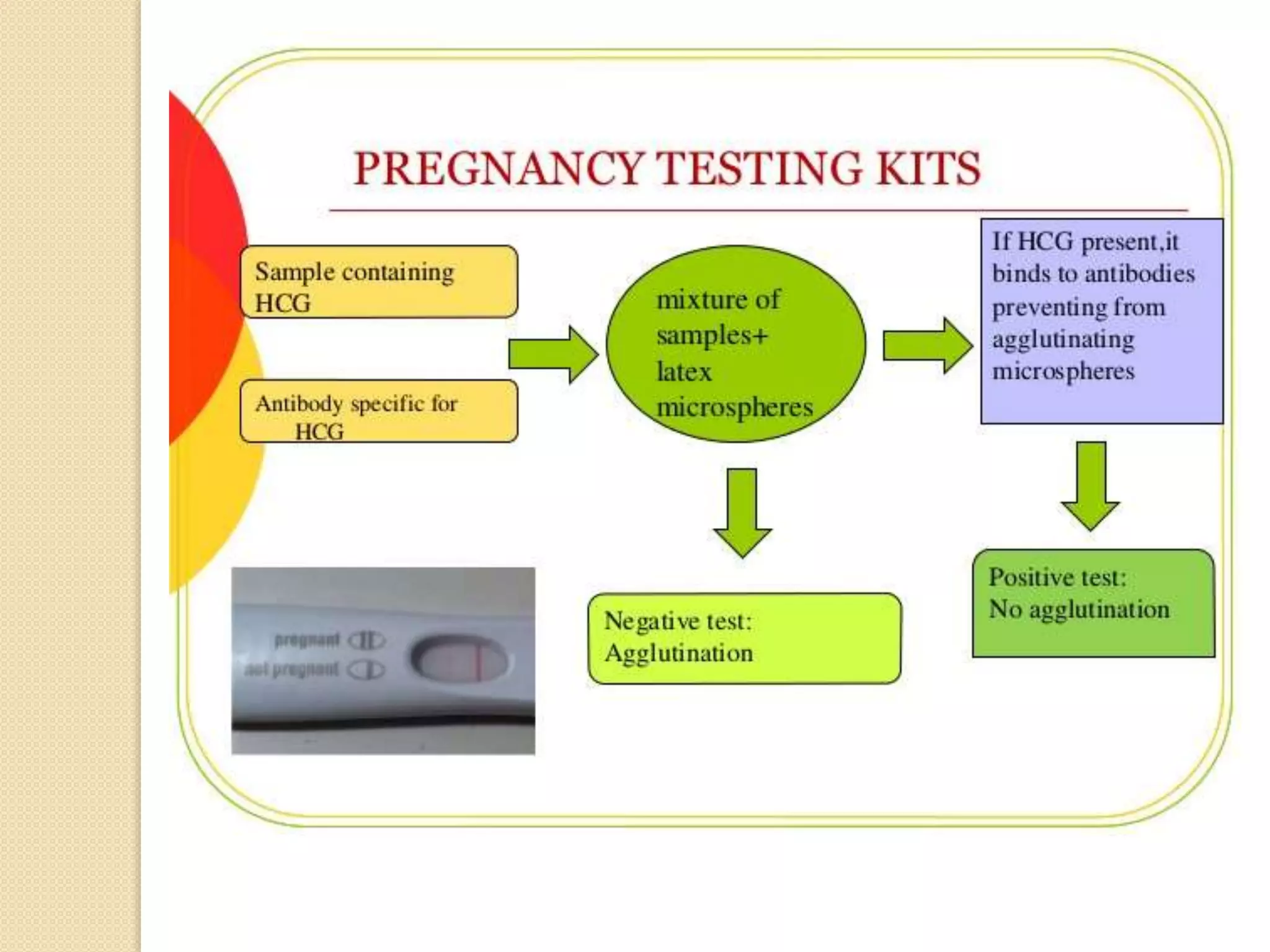 Diagnosis of pregnancy | PPTX