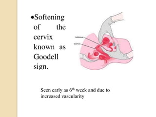 Diagnosis of pregnancy | PPTX