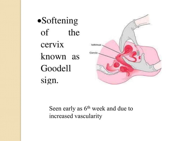 Diagnosis of pregnancy | PPTX