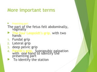 Diagnosis of pregnancy | PPT