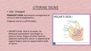 Diagnosis of pregnancy | PPT