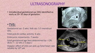Diagnosis of pregnancy | PPT