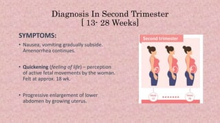 Diagnosis of pregnancy | PPTX