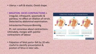Diagnosis of pregnancy | PPT