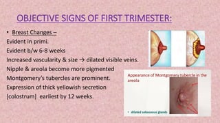 Diagnosis Of Pregnancy Pptx