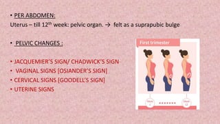 Diagnosis of pregnancy | PPTX