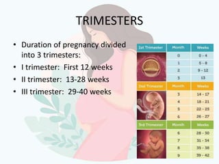 diagnosis of pregnancy presentation.pptx | Pregnancy | Reproductive Health