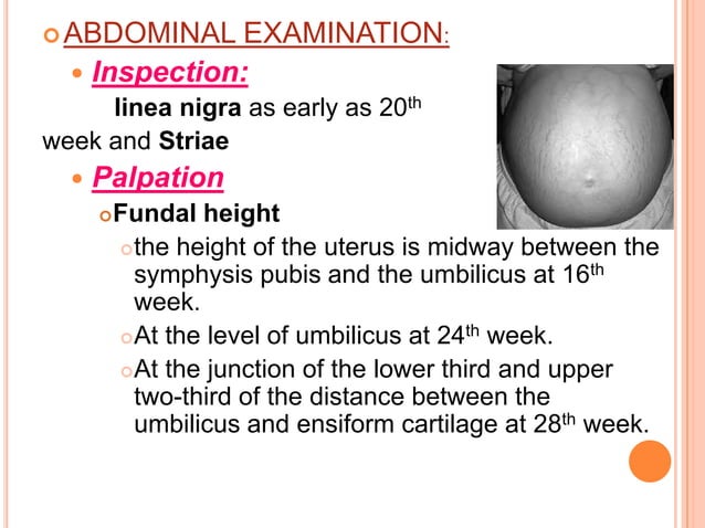 Diagnosis of pregnancy and maternal assessment | PPT