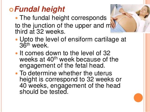 Diagnosis of pregnancy and maternal assessment