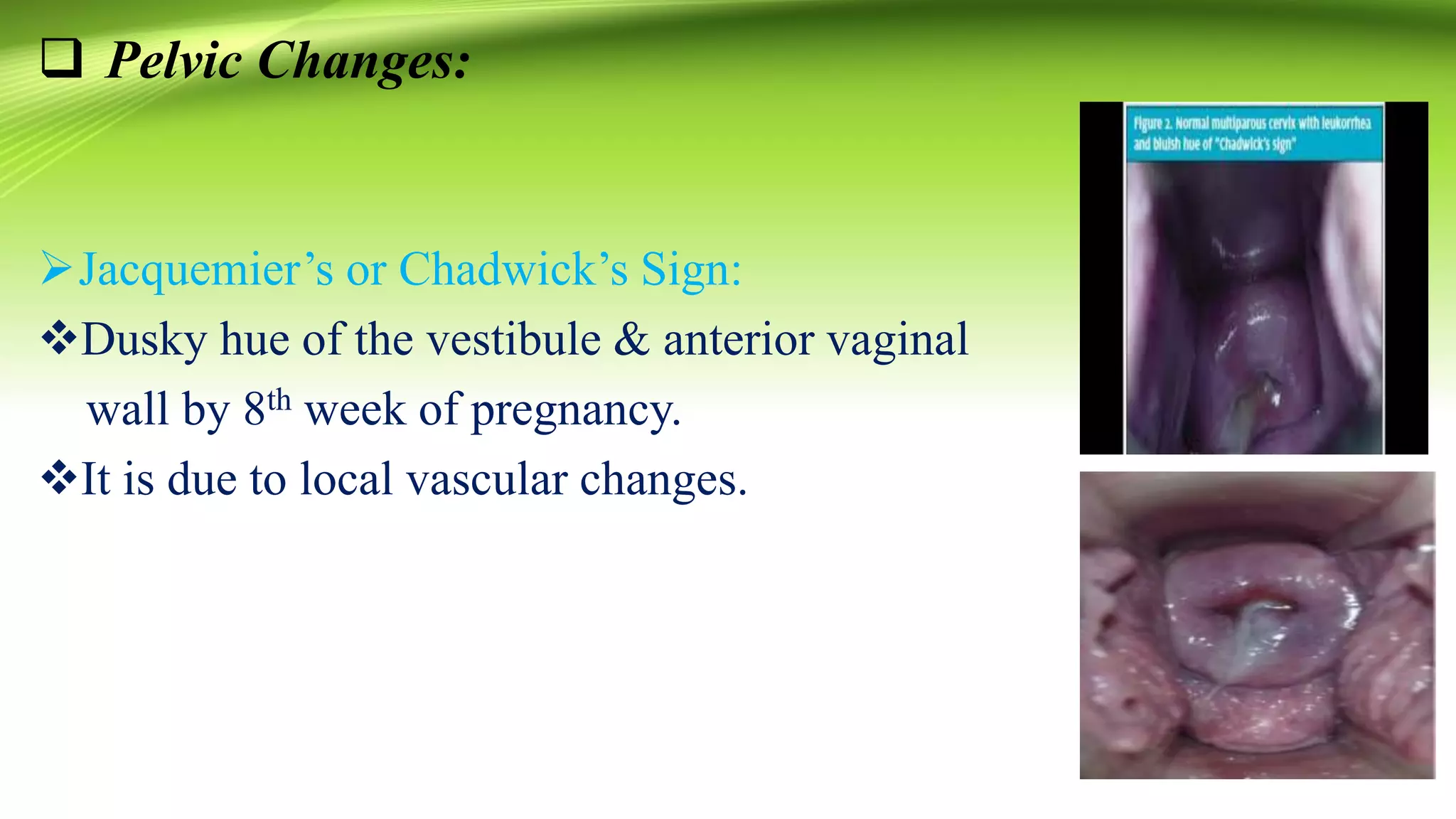 Diagnosis of Pregnancy in First Trimester | PDF