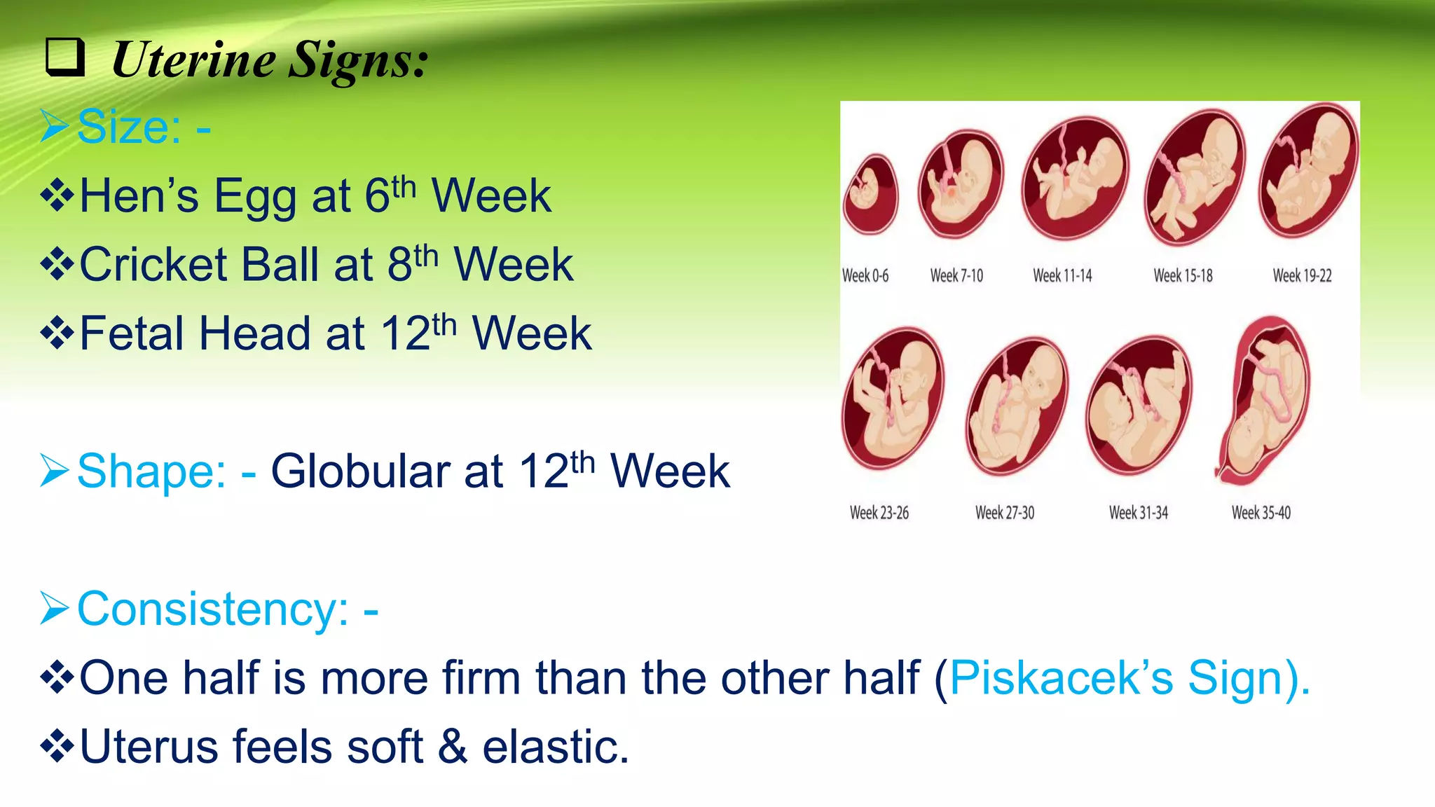 Diagnosis of Pregnancy in First Trimester | PDF