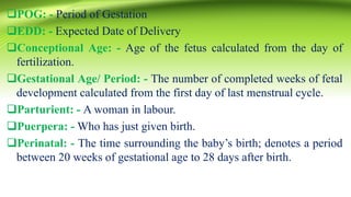 Diagnosis of Pregnancy in First Trimester | PDF