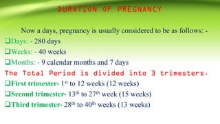 Diagnosis of Pregnancy in First Trimester | PDF