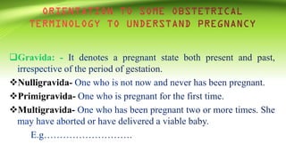 Diagnosis of Pregnancy in First Trimester | PDF