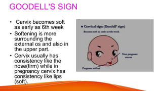 Diagnosis of pregnancy SEMINAR.pptx kjgjhfgvhghghgc | PPT