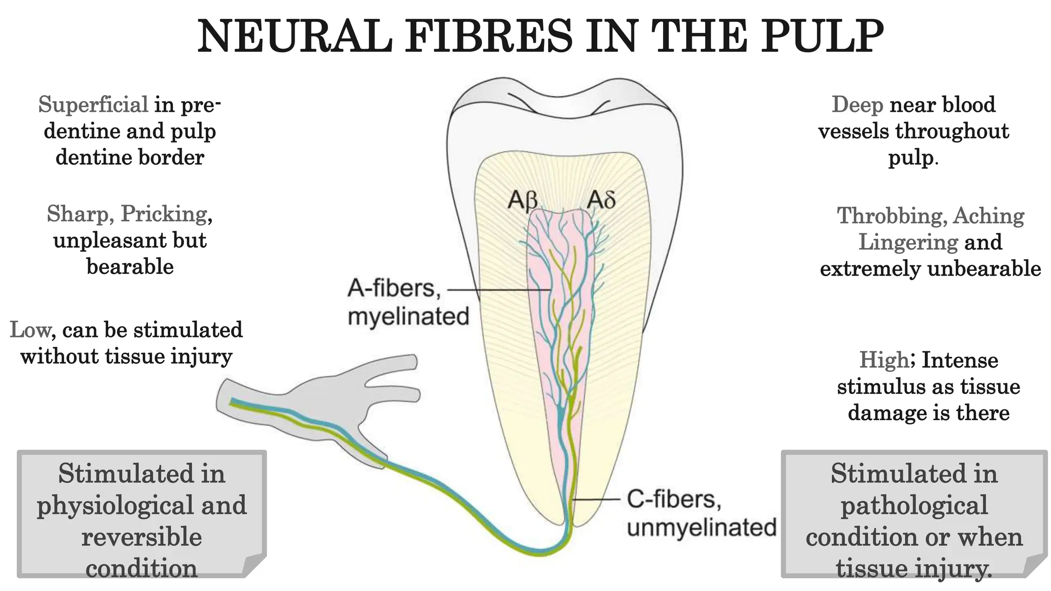 DIAGNOSIS OF PULP.pptx