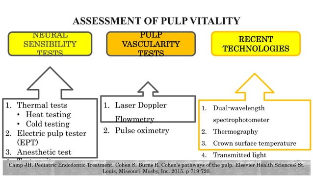 DIAGNOSIS OF PULP.pptx | Dental Health | Diseases and Conditions