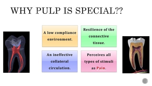 DIAGNOSIS OF PULP.pptx | Dental Health | Diseases and Conditions