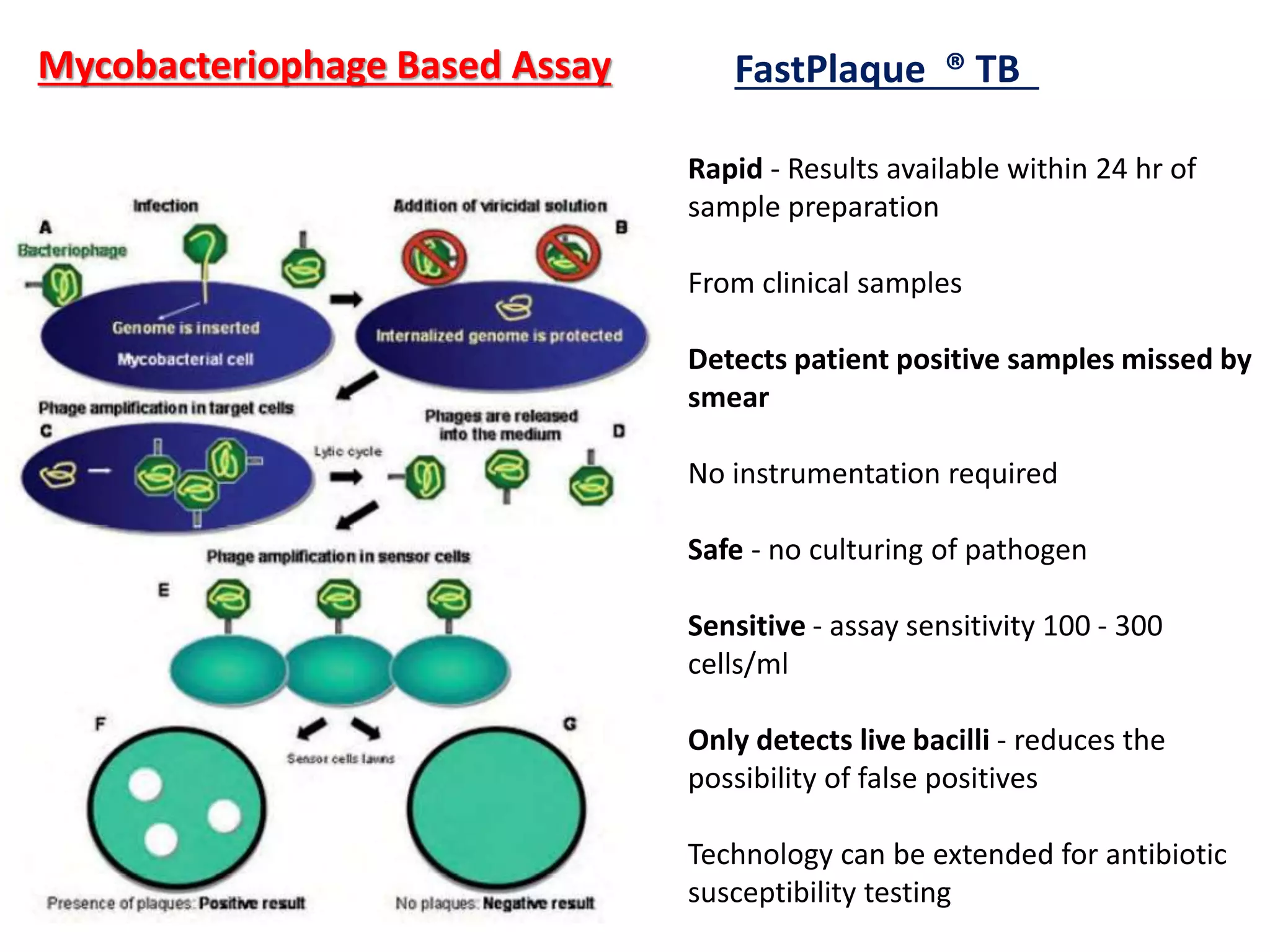 Diagnosis of Tuberculosis | PPTX