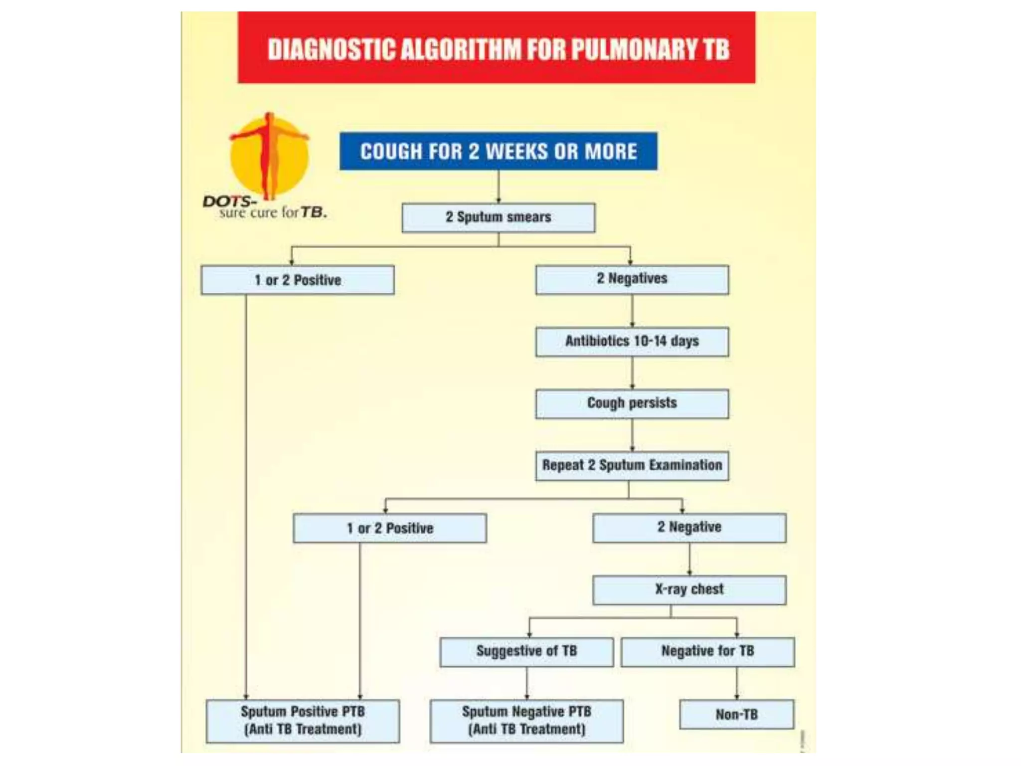 Diagnosis of Tuberculosis | PPTX