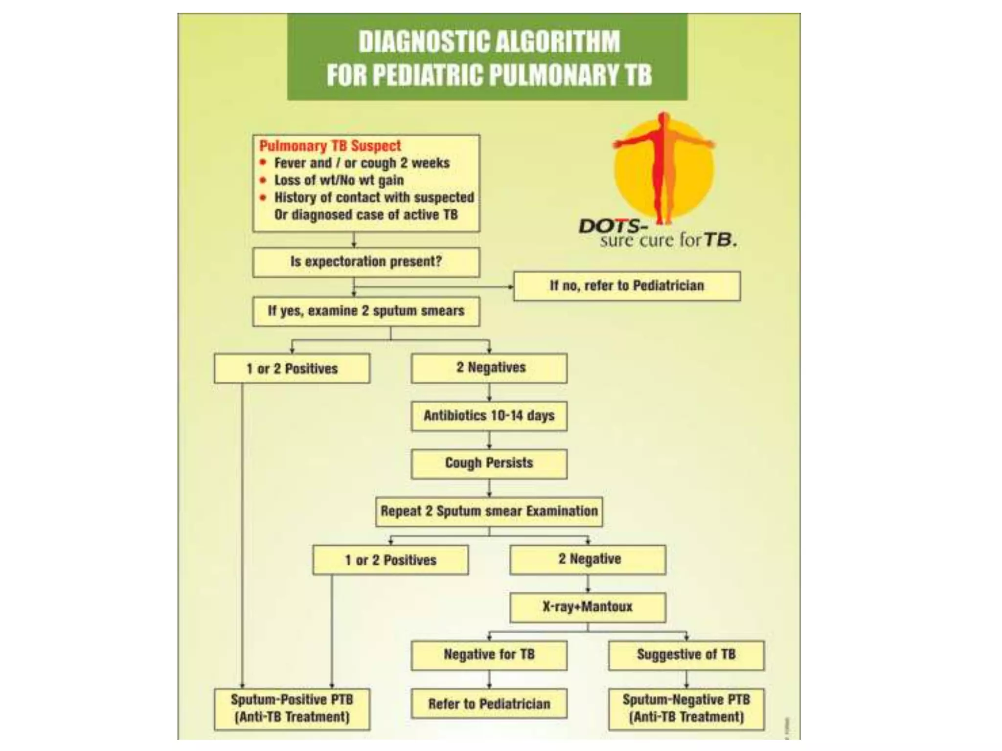 Diagnosis of Tuberculosis | PPTX