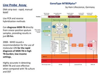 Diagnosis of Tuberculosis | PPTX