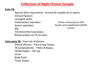 Diagnosis of Tuberculosis | PPTX
