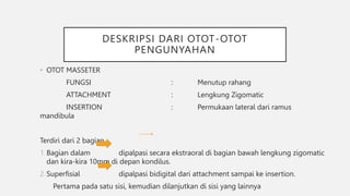 DIAGNOSIS of Temporo Mandibular Diseases | PPTX