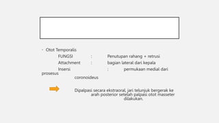 DIAGNOSIS of Temporo Mandibular Diseases | PPT