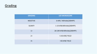 Diagnosis of tuberculosis | PPT