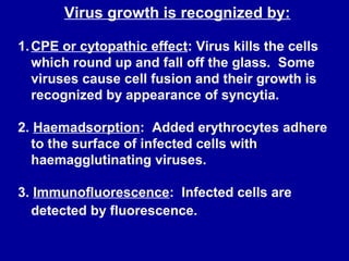 Diagnosis of viral disease | PPT