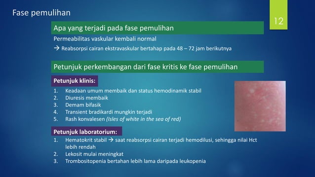 Diagnosis & Tatalaksana DBD anak & Remaja - dr. Ernie - 2 April 2024.pdf